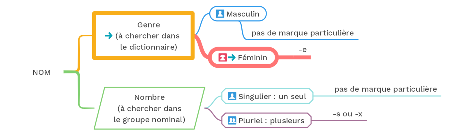 Distinguer genre et nombre - Cours2français 🙂